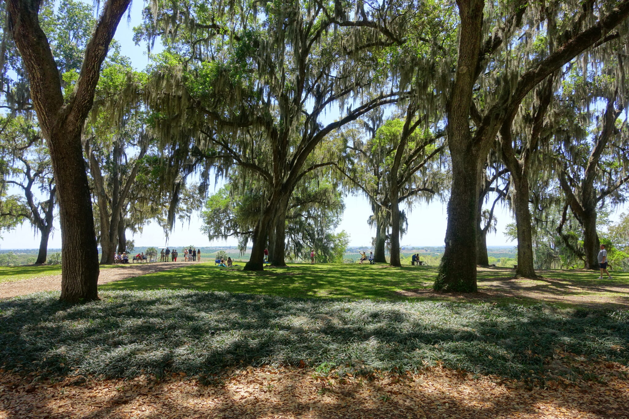 The Ultimate Guide to Bok Tower Gardens - Explore Central Florida