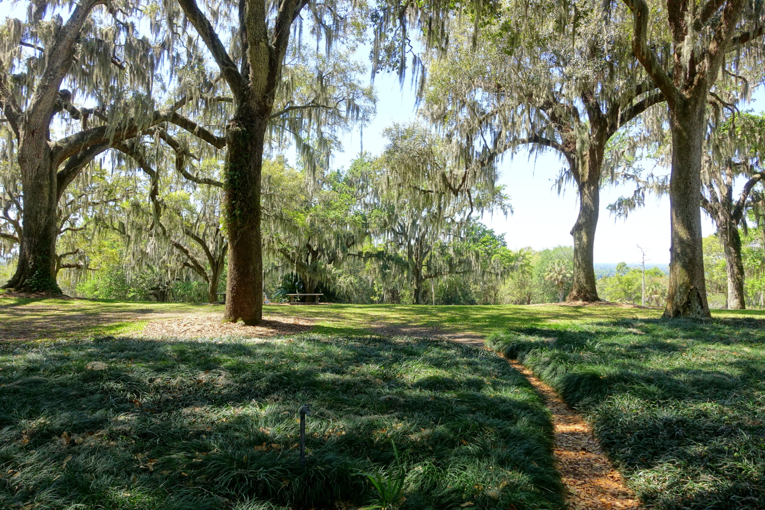 The Ultimate Guide to Bok Tower Gardens - Explore Central Florida